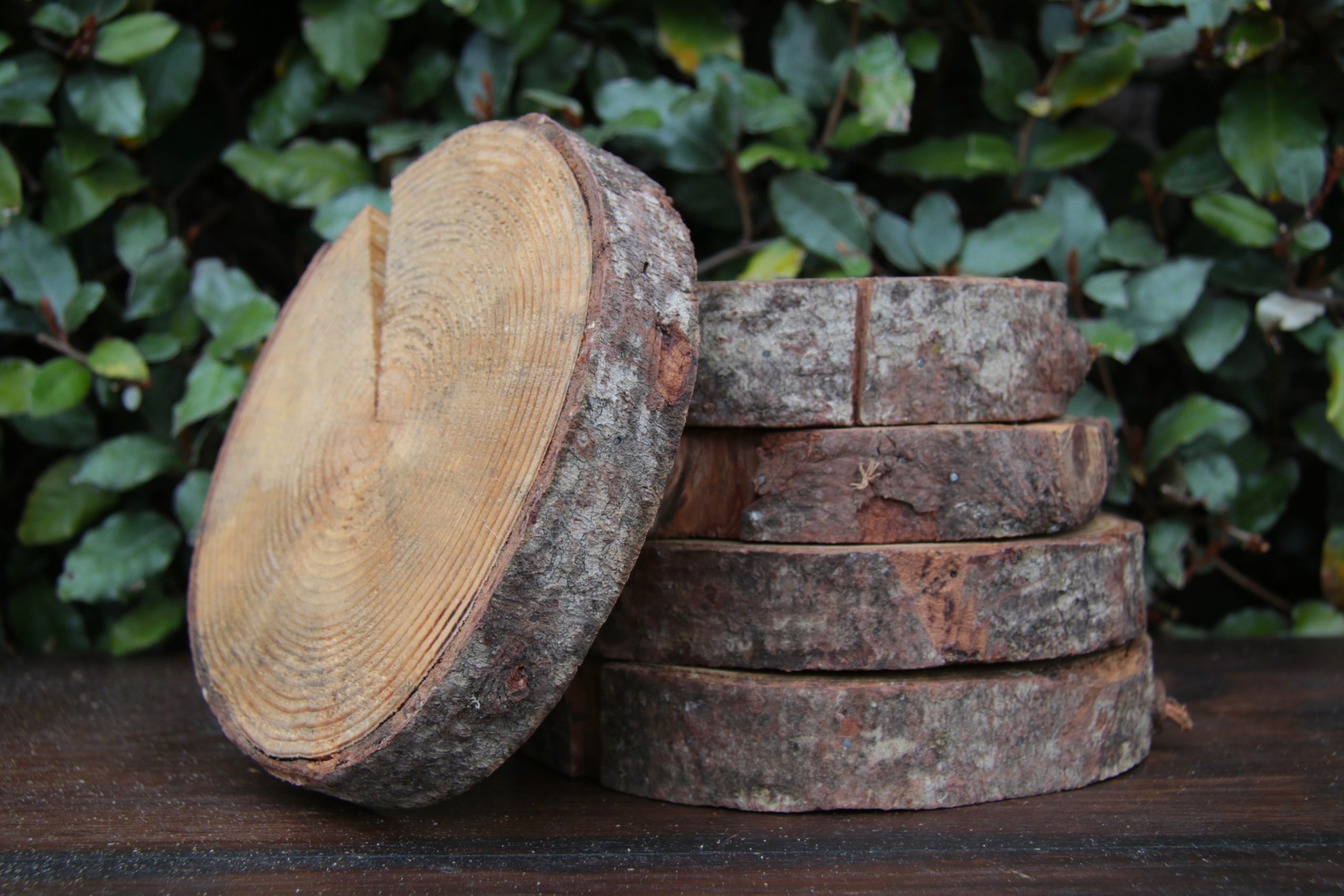 C'est quoi le bois Douglas