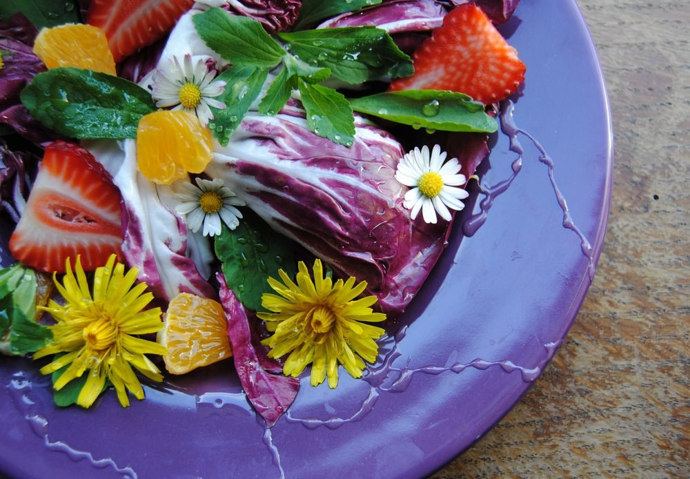 Comment cuisiner les fleurs comestibles