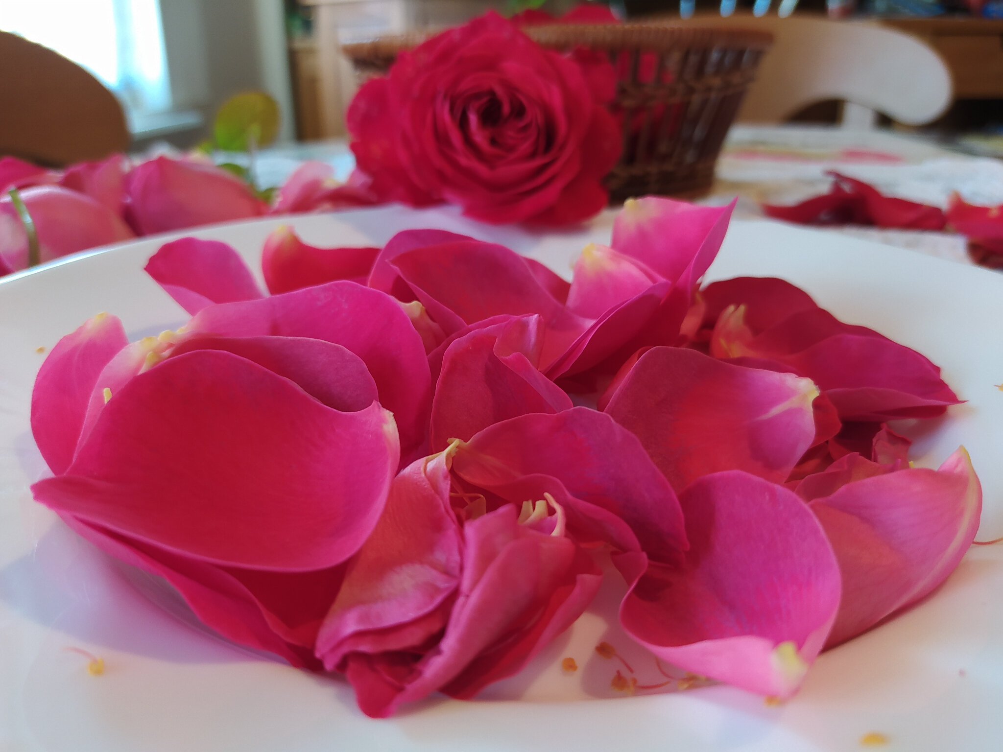 Comment faire sécher des pétales de roses au four