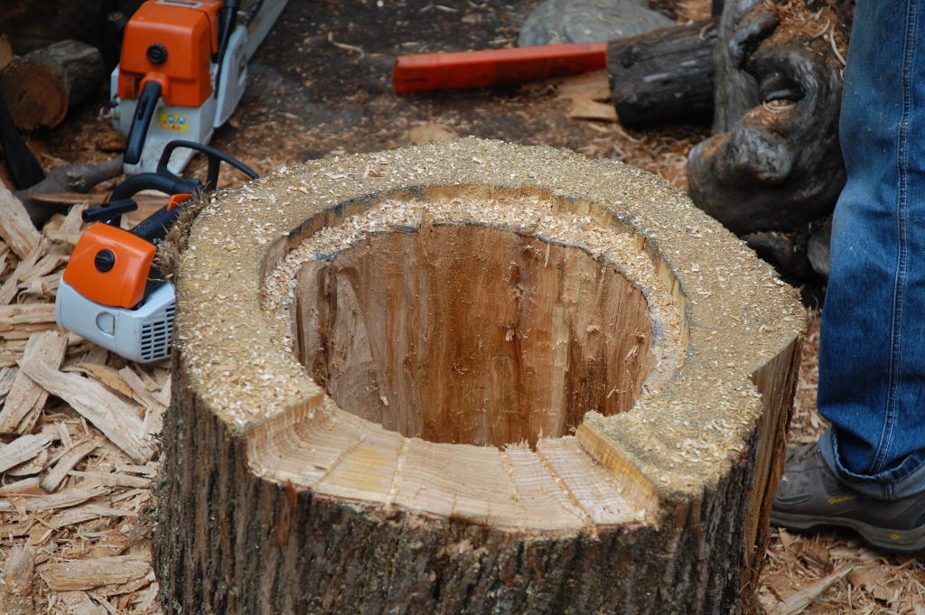 Comment faire une ruche dans un tronc d'arbre