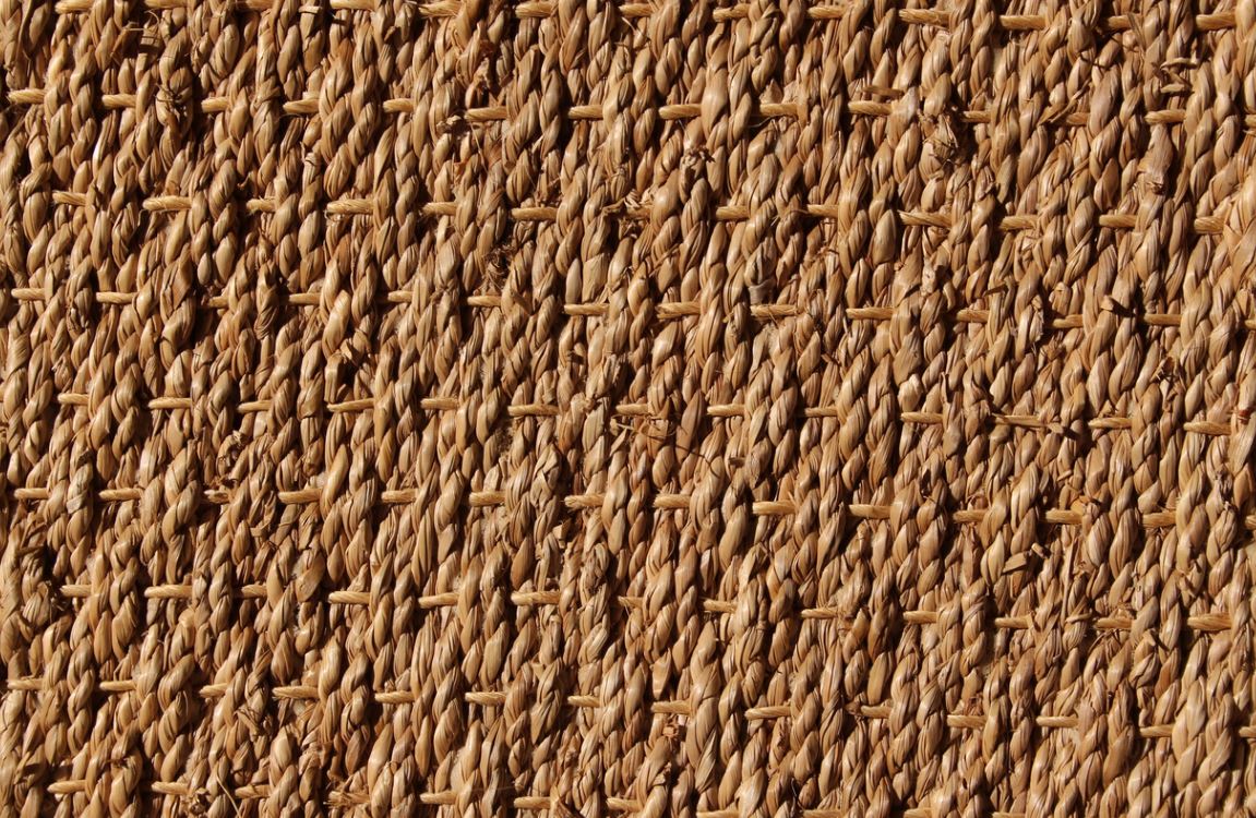 Est-ce que le jonc de mer se lave