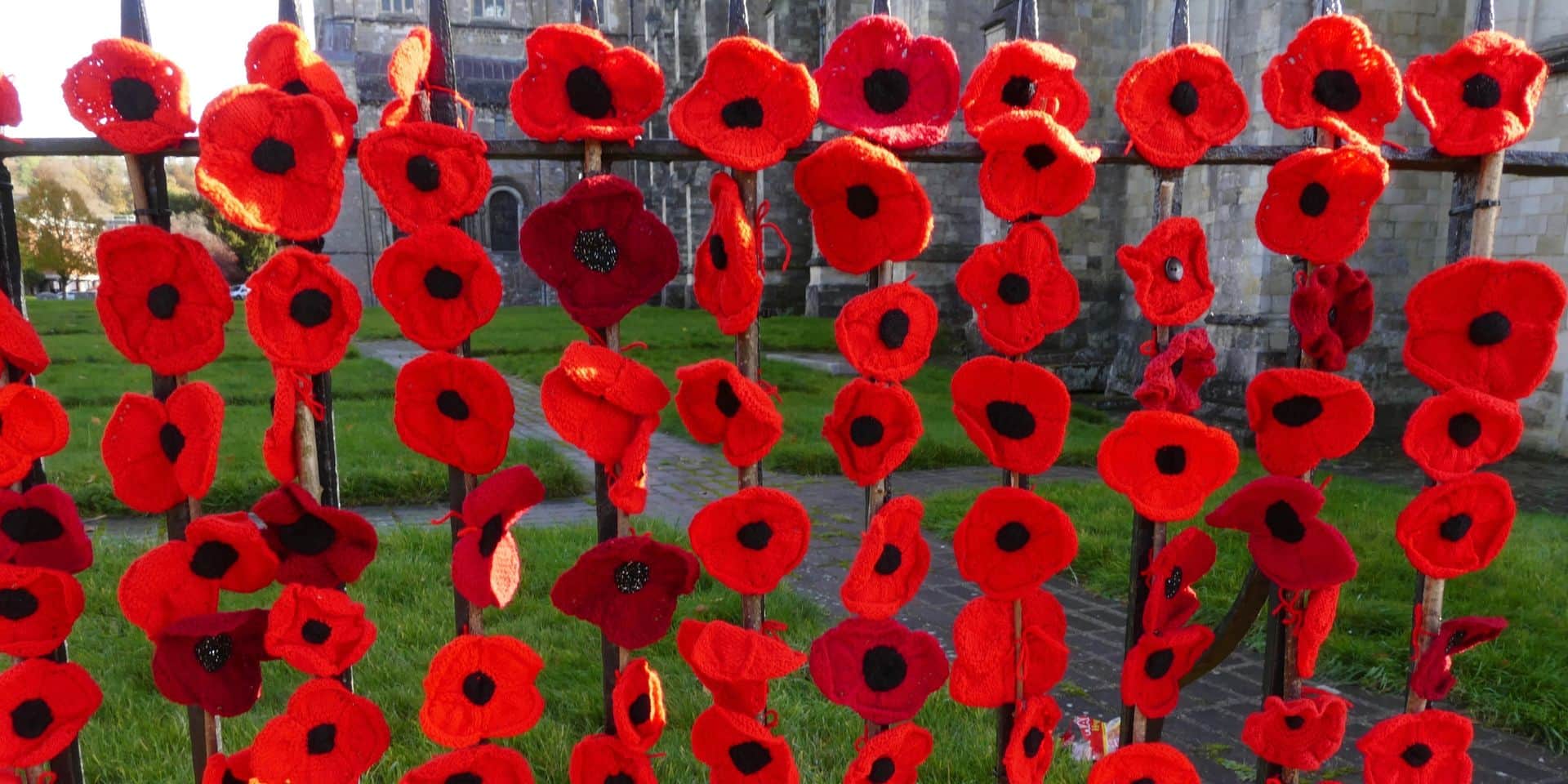 Pourquoi le symbole du coquelicot