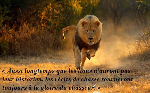 Quand le lion rugit citation