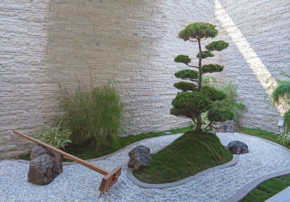 Quel plante pour créer un jardin zen