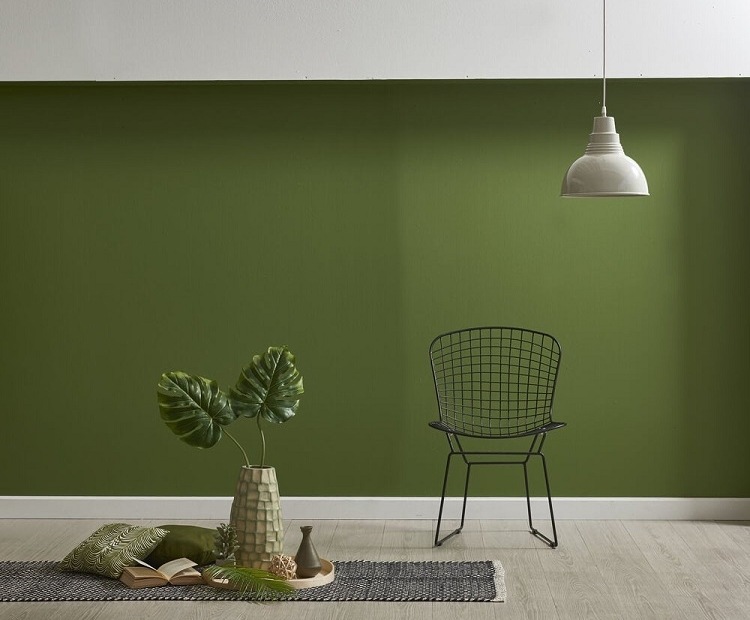 Quelle est la couleur vert olive